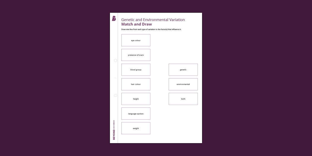 Genetic and Environmental Variation Match and Draw - Twinkl