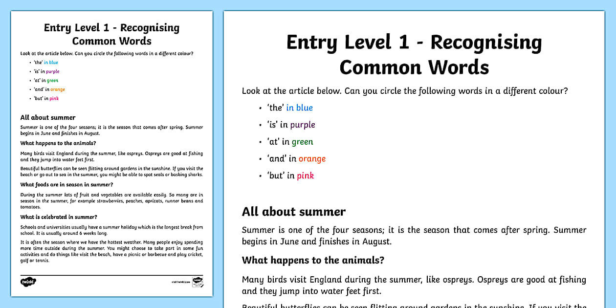 Entry Level 1: Recognising Common Words Worksheet / Worksheet