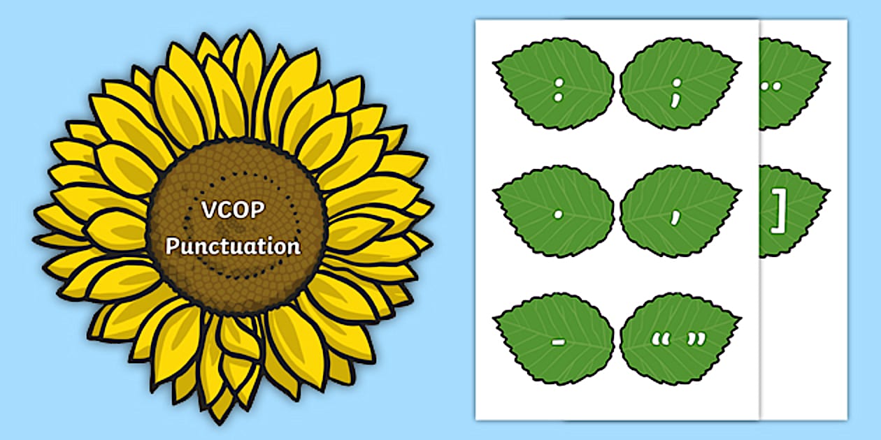VCOP Punctuation Flower Display (teacher made) - Twinkl