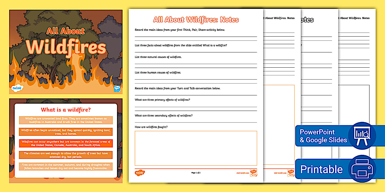 FREE All About Wildfires PowerPoint & Google Slides Lesson