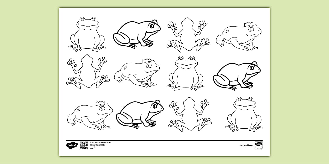 Frog Doodle Colouring Page (teacher made) - Twinkl