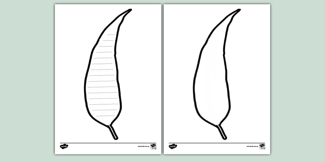Eucalyptus Writing Template - Twinkl Writing - Twinkl