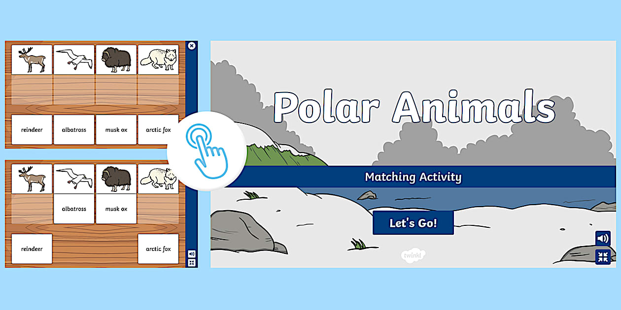 Interactive Polar Animals KS1 Matching Activity | Twinkl Go!
