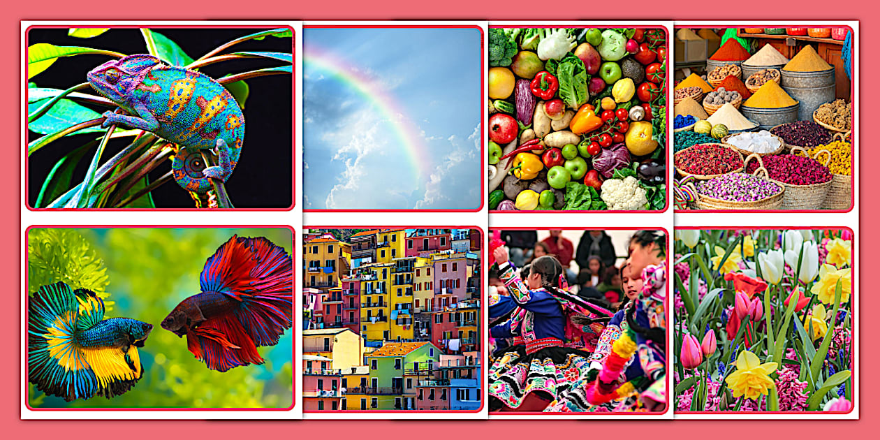Colourful World Photo Pack | Twinkl (professor feito)