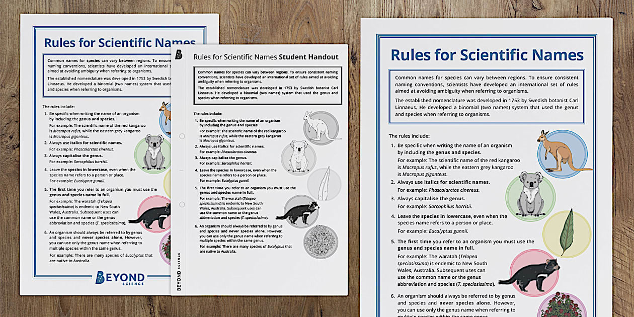 Rules for Scientific Names Poster and Student Handout