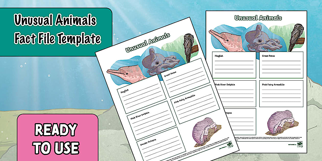 Unusual Animals Fact File Template