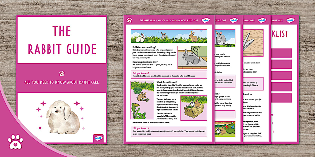 The Ultimate Rabbit Handbook - Pet Care Guide - Twinkl Pets