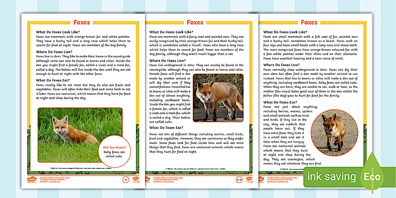 KS1 Fox Information Fact File - Differentiated Resources