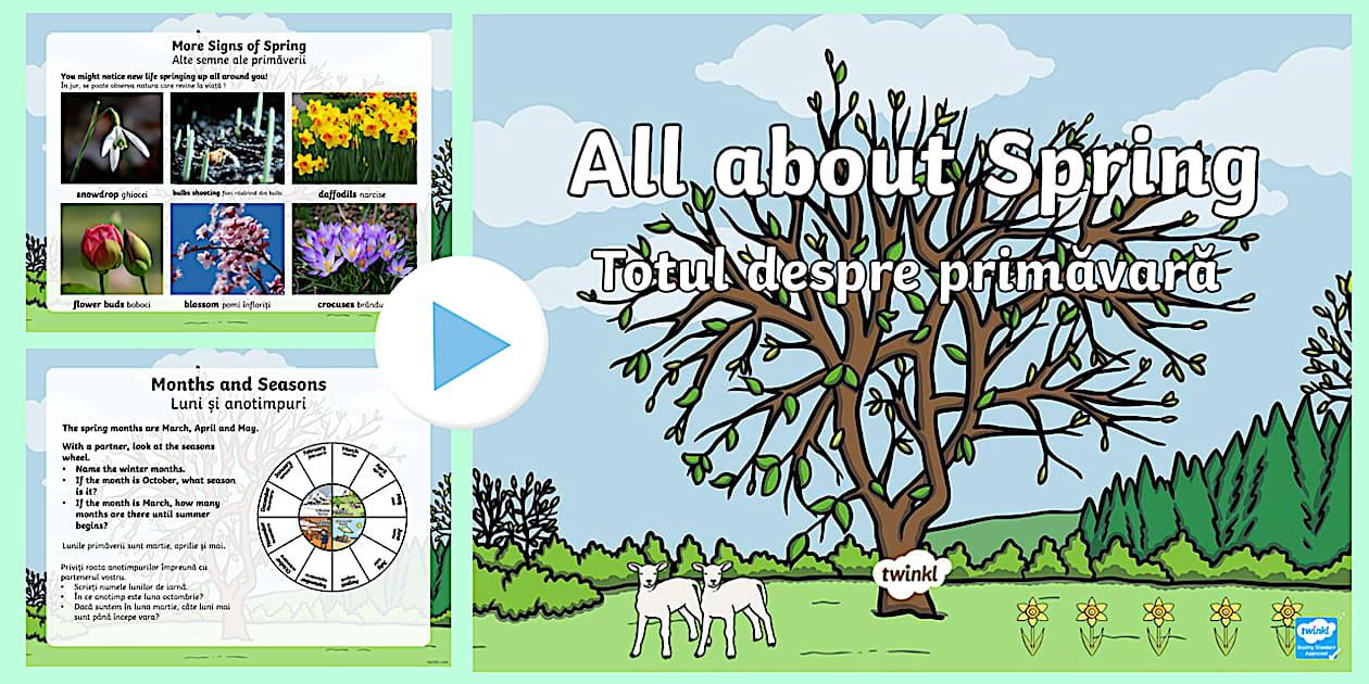 KS1 All about Spring PowerPoint English/Romanian - Twinkl