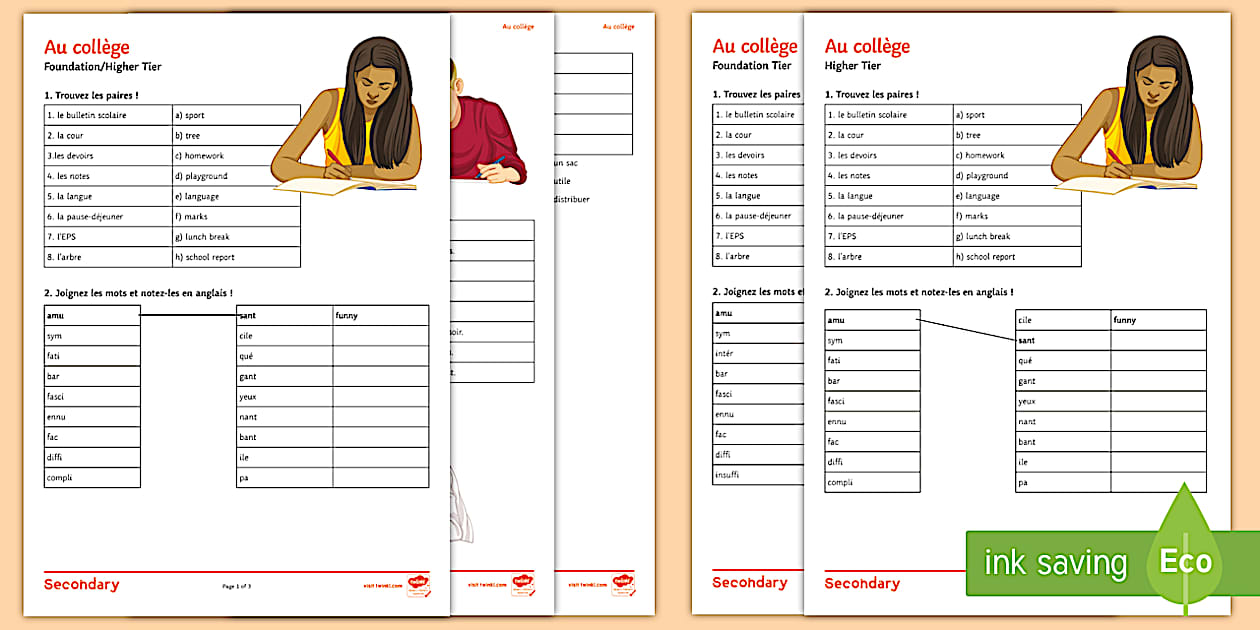 School Differentiated Worksheet / Worksheet French