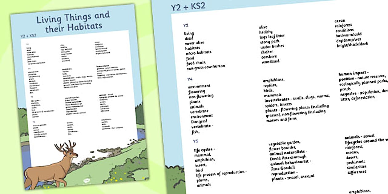 Editable Year 2 to Year 6 Living Things and their Habitats Scientific