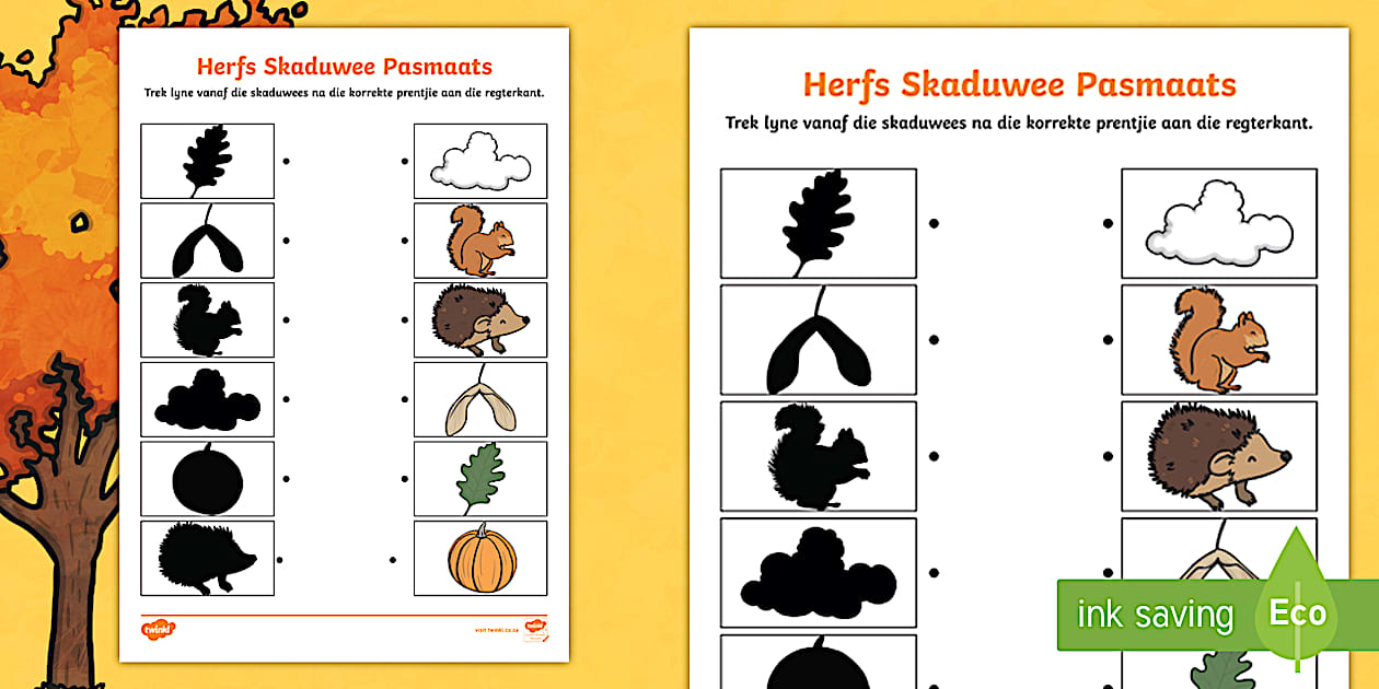 Herfs Skaduwee Pasmaats Aktiwiteit bladsy (teacher made)