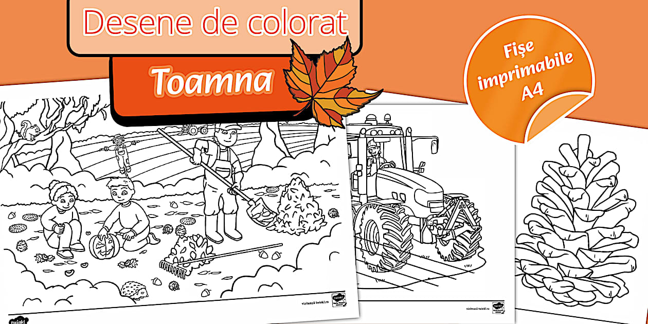 Fișe de colorat – toamnă | Desene de toamnă | Twinkl România