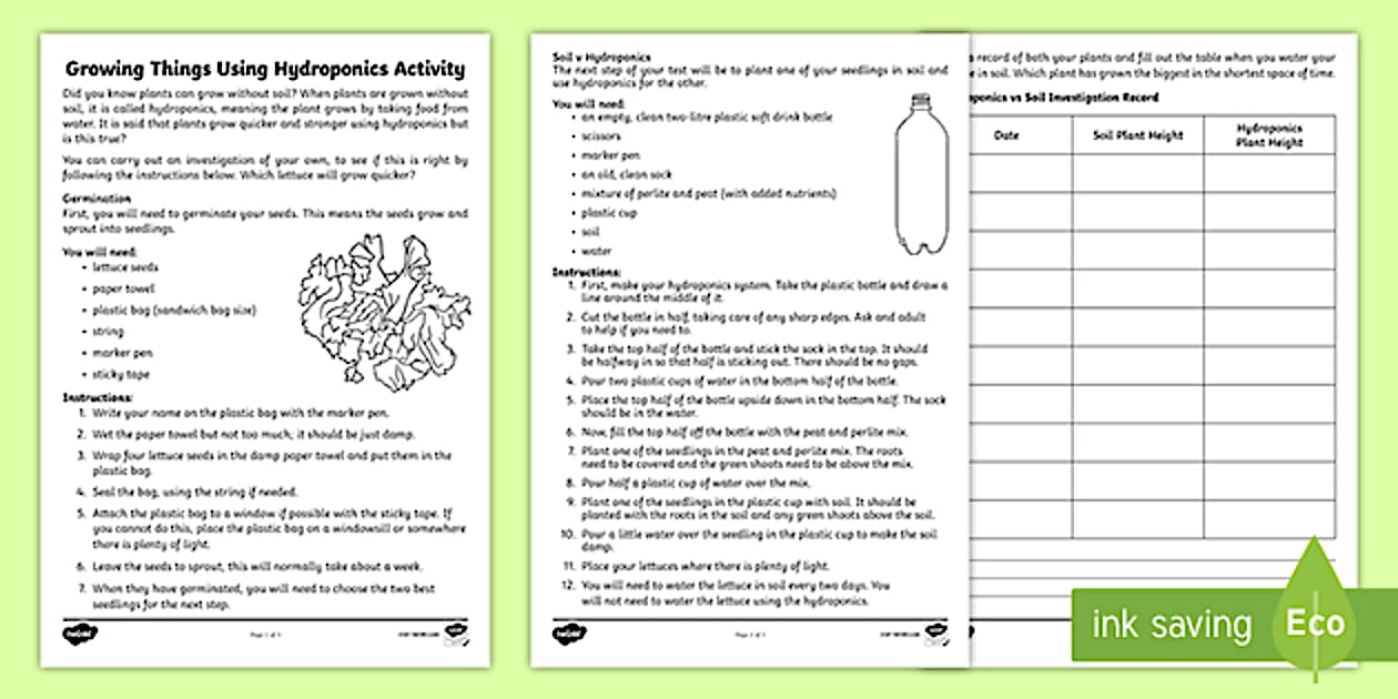 KS1 Growing Things Using Hydroponics Activity (teacher made)
