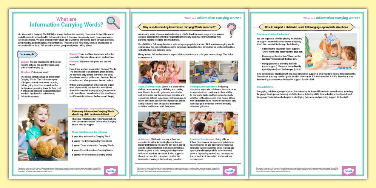 What are Information Carrying Words? (teacher made) - Twinkl