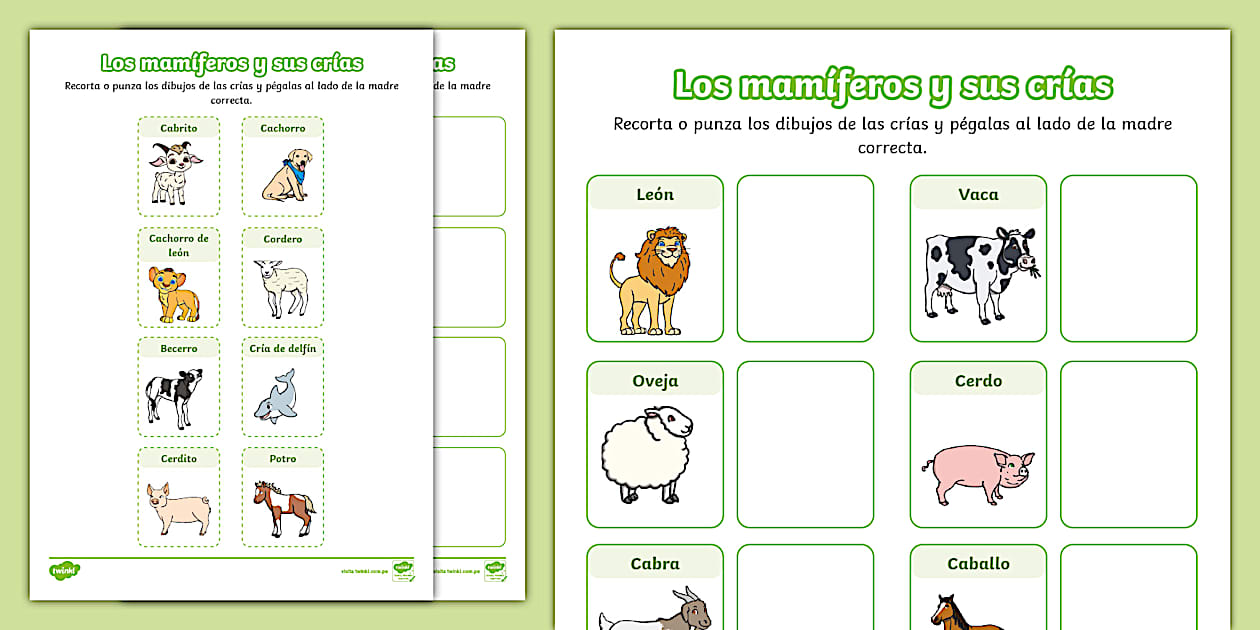 Actividad de emparejar: Los mamíferos y sus crías | Twinkl
