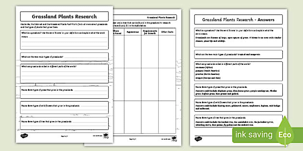 KS2 Grassland Plants Research Activity (teacher made)