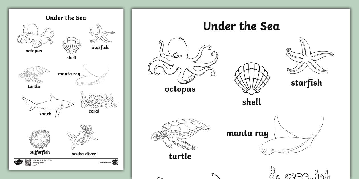 Under the Sea Words Colouring Sheet (teacher made) - Twinkl