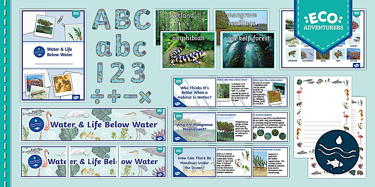Year 4 Water & Life Below Water: Display Pack (teacher made)