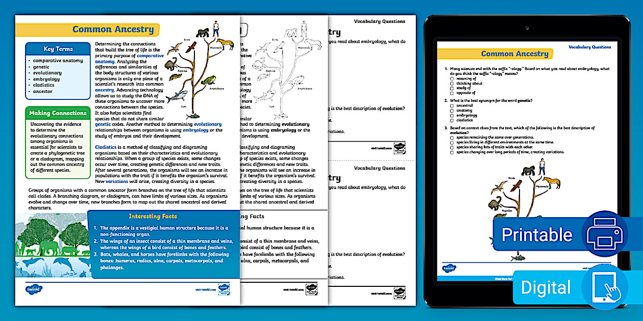 Common Ancestry Fact File and Vocab Questions (teacher made)