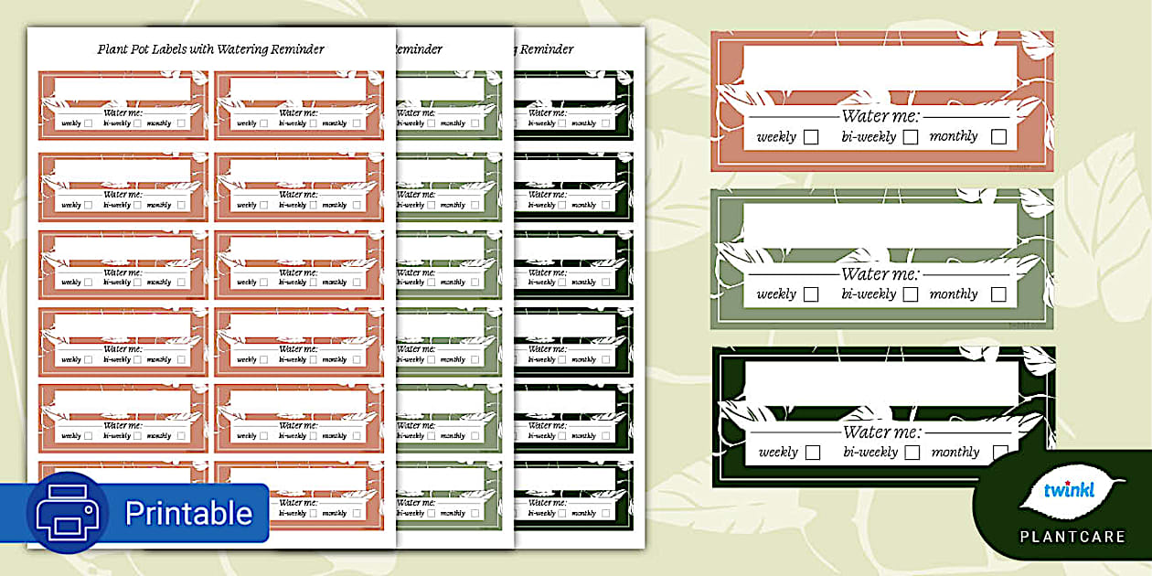 Printable Plant Pot Labels (teacher made) - Twinkl