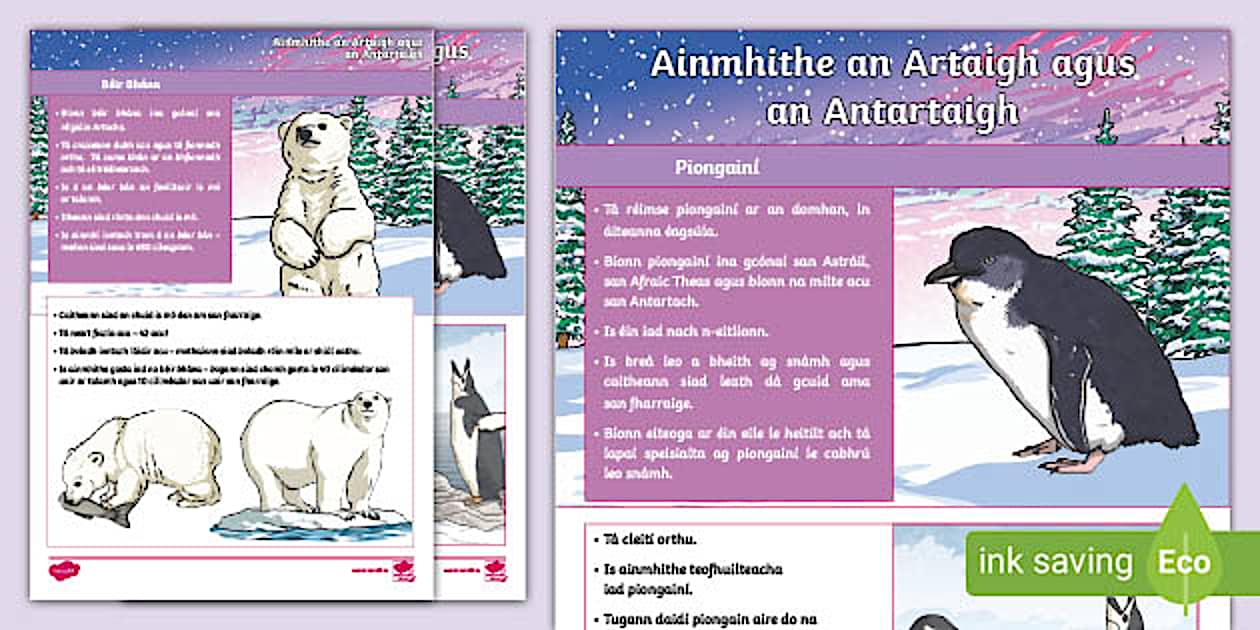 Arctic and Antarctic Animals Fact File Gaeilge - Twinkl