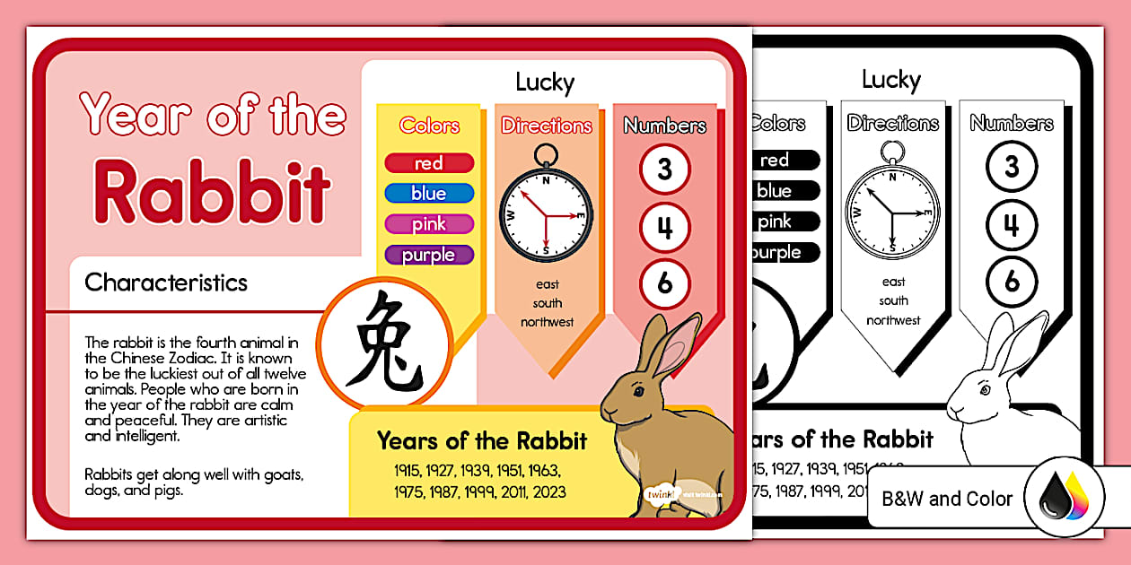 Year of the Rabbit Informational Poster (teacher made)