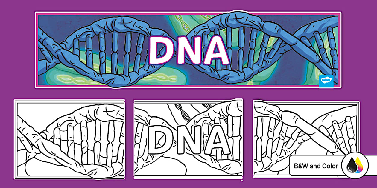 DNA Banner (teacher made) - Twinkl