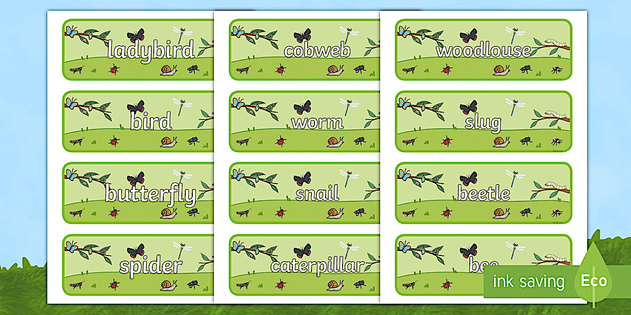 Minibeast Labels (teacher made) - Twinkl