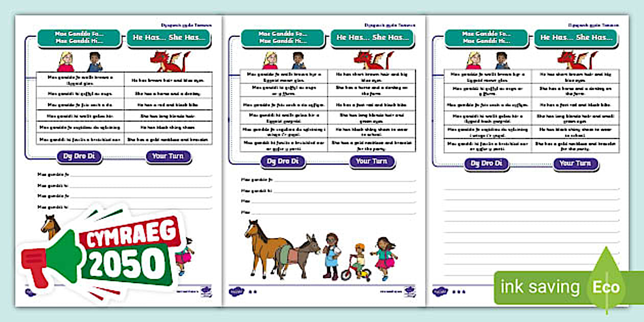 Learn Welsh: Taflenni Gweithgaredd Mae Ganddo Fo Mae Ganddi Hi Activity ...