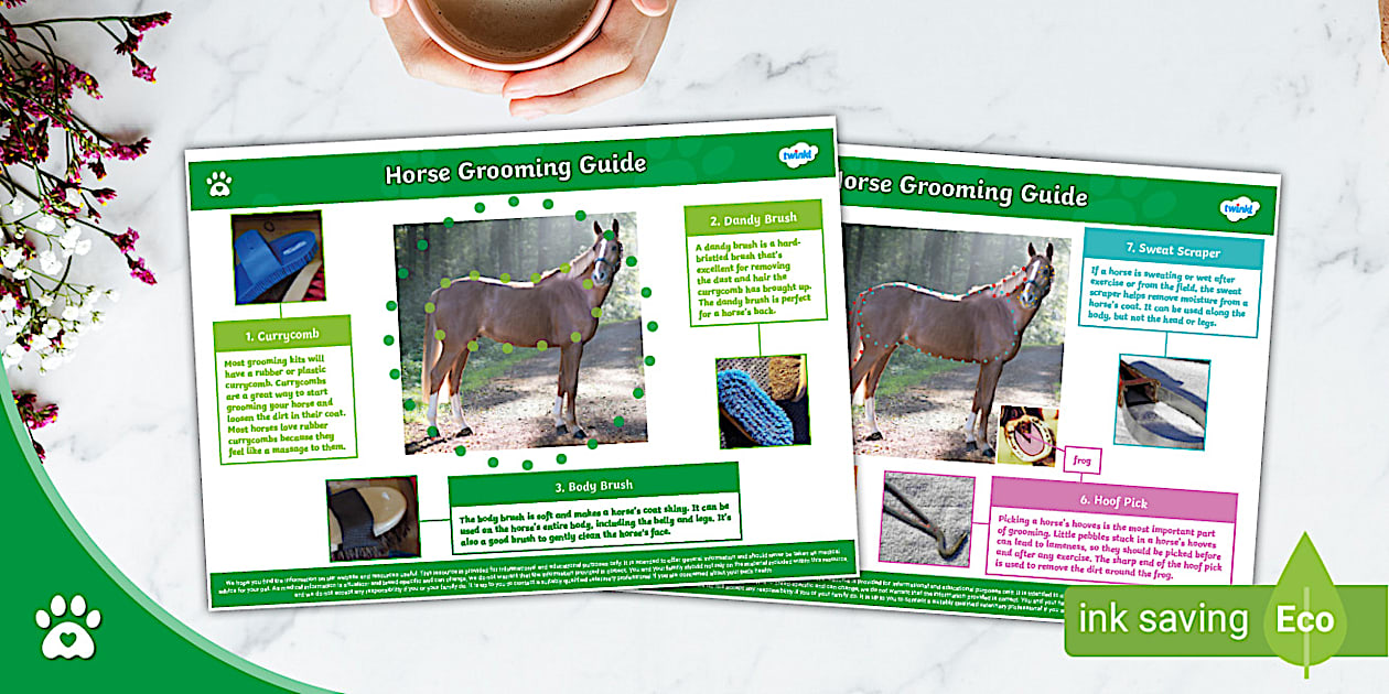 Horse Grooming Guide - Information Sheet - Twinkl Pets