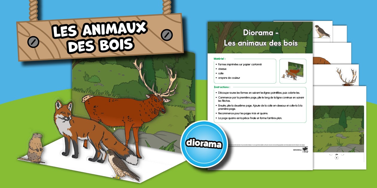 Activité manuelle : diorama - Les animaux des bois