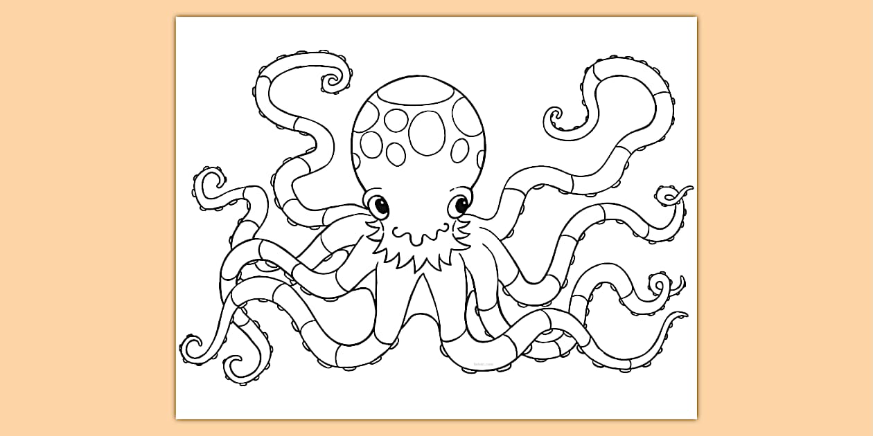 Prep-free Octopus Coloring Sheet | Twinkl USA - Twinkl