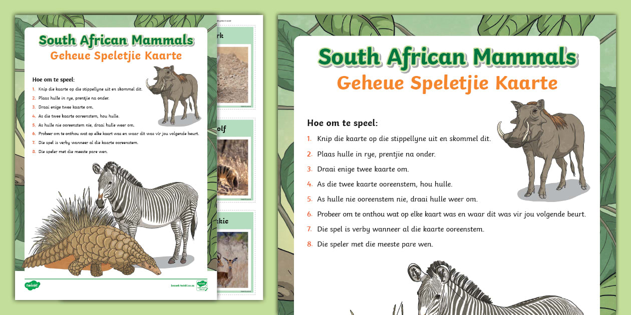 Suid-Afrikaanse Soogdiere Geheue Speletjie Kaarte - Twinkl