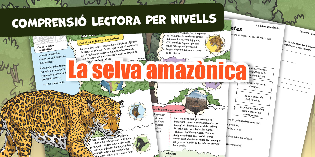 Comprensió lectora per nivells: La selva amazònica - Català