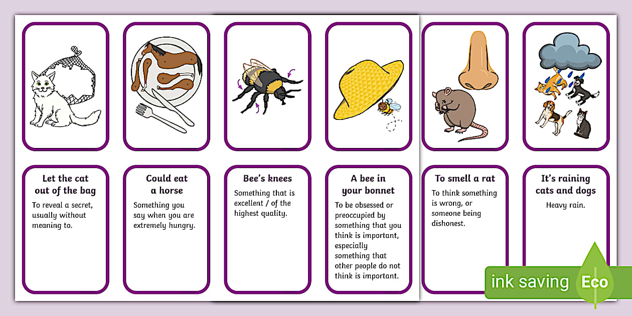 Animal Idioms Matching Cards (teacher made) - Twinkl