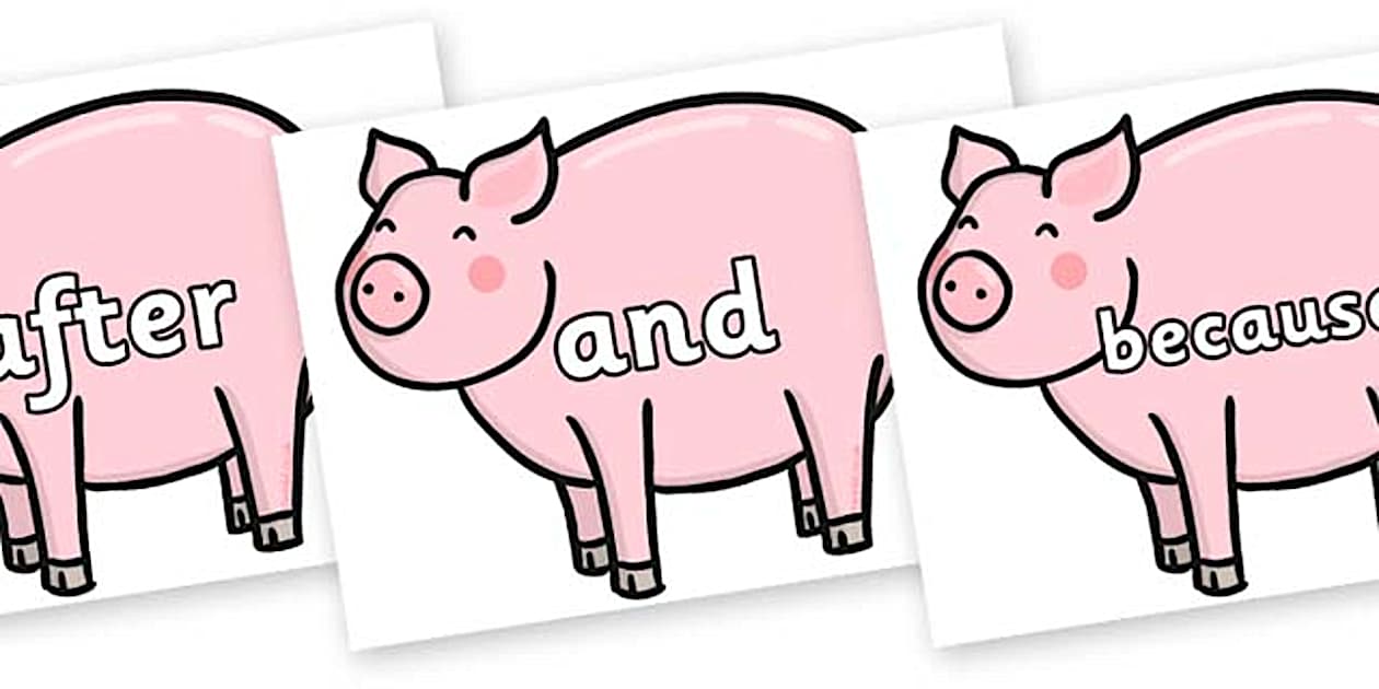 Connectives on Chinese New Year Pig (teacher made) - Twinkl