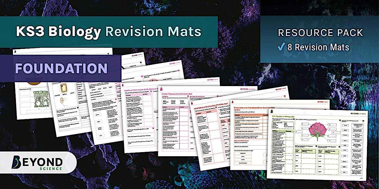 KS3 Biology Foundation Revision Mat Bundle | Beyond Science