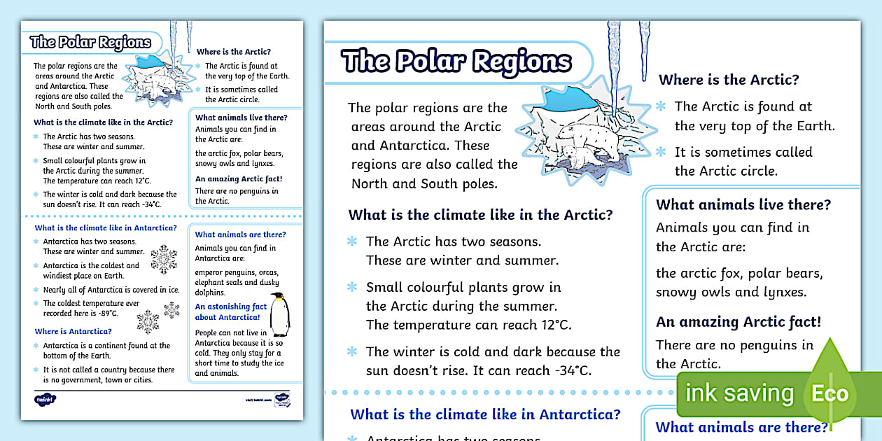KS1 Polar Regions Fact File (teacher made) - Twinkl