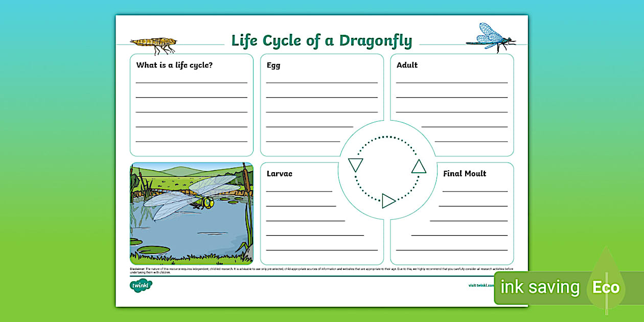 Life Cycle of a Dragonfly Fact File Template - Twinkl