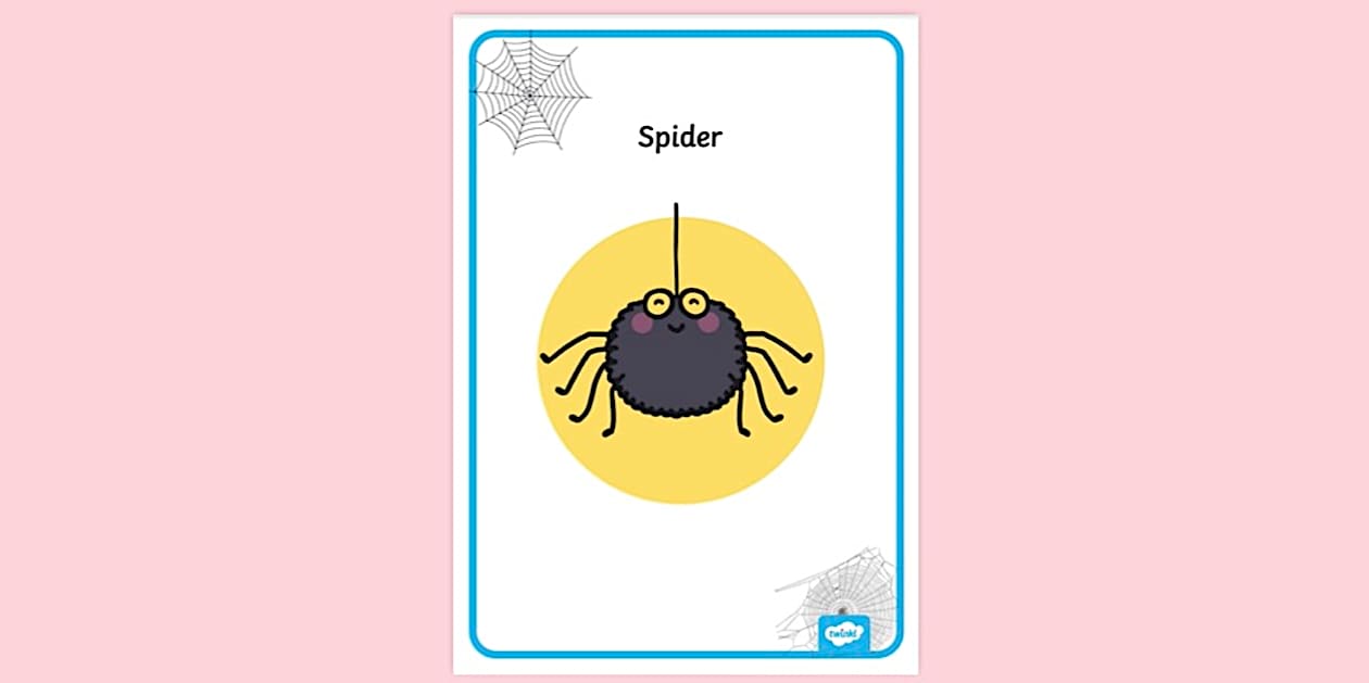 Preschool Spider Poster Display | Primary Resources - Twinkl