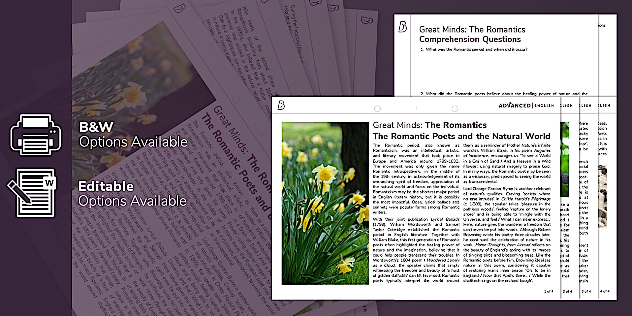 KS5 Great Minds: The Romantics Reading Comprehension