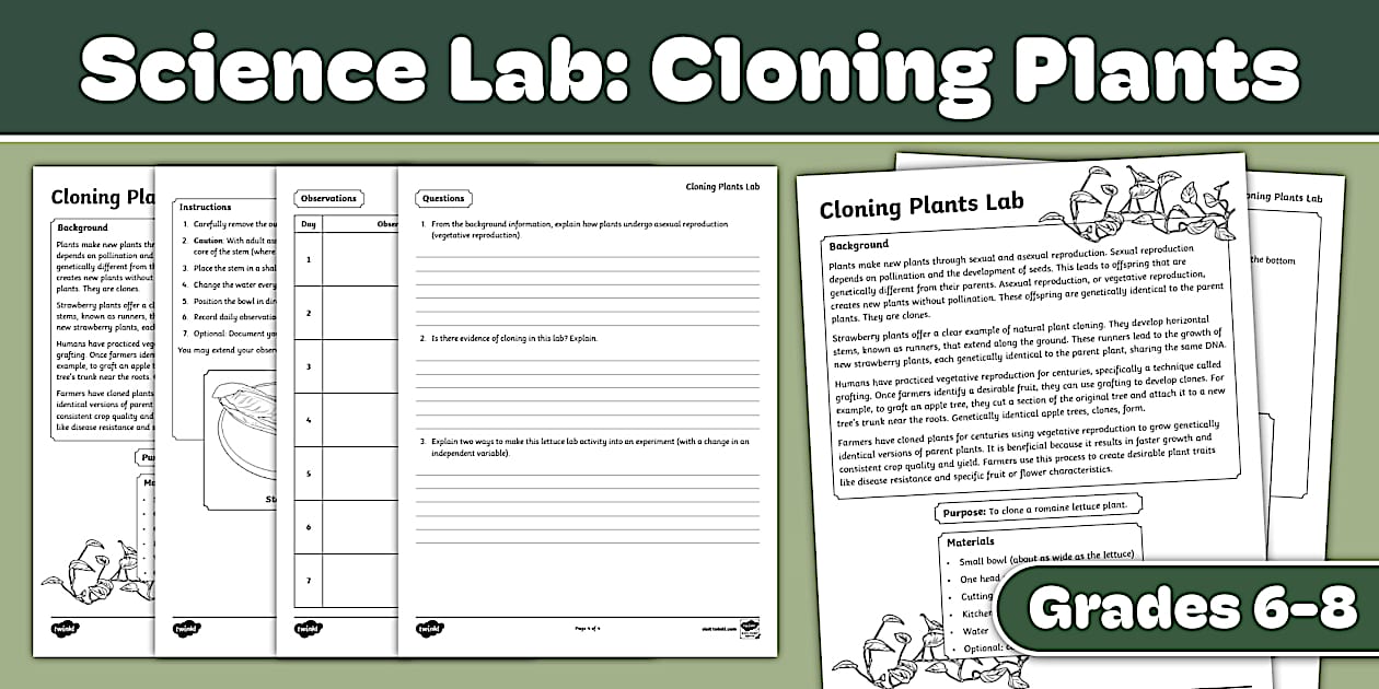 Cloning Lettuce Plants Science Lab Investigation for 6th-8th