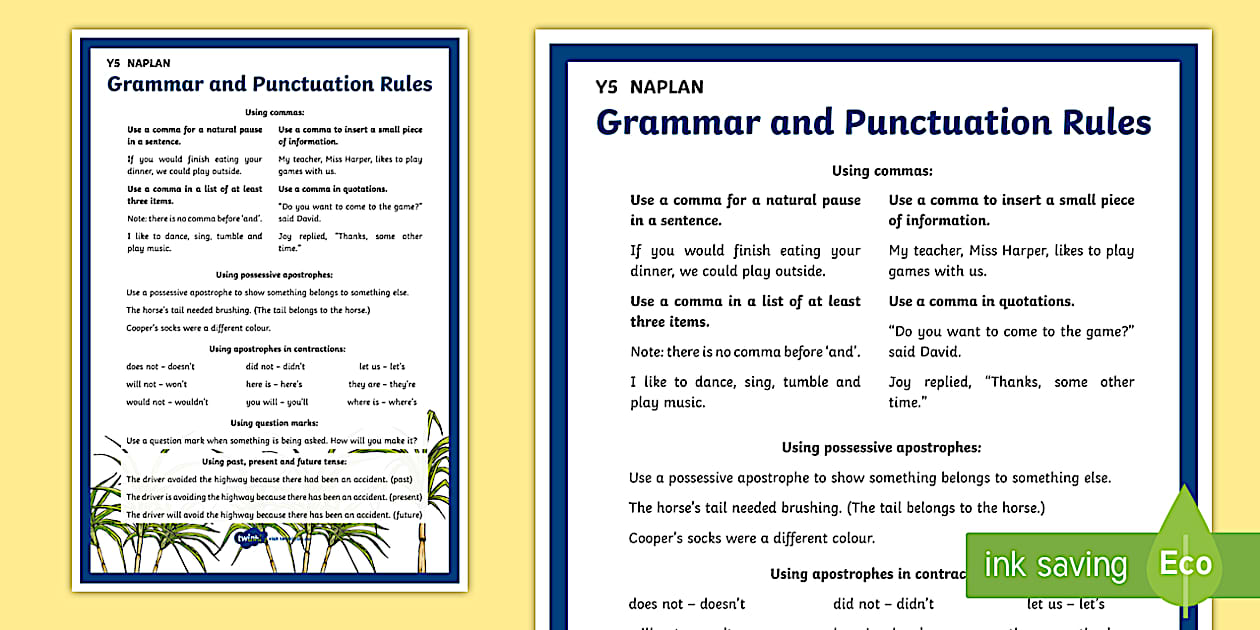 Y5 NAPLAN Grammar & Punctuation Rules Poster (teacher made)