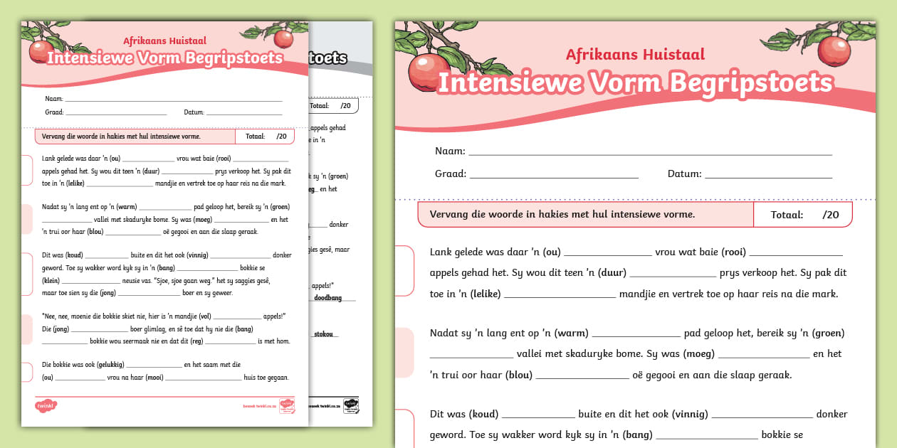 Intensiewe Vorm Begripstoets (Teacher-Made) - Twinkl