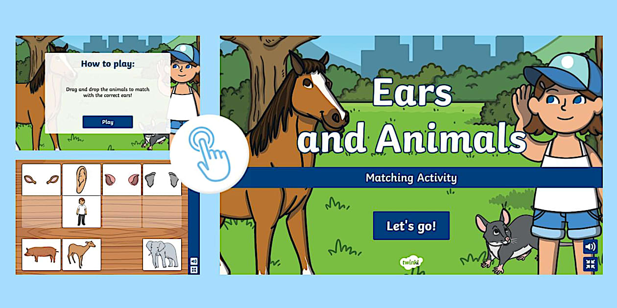 Ears and Animals Interactive Matching Activity - Twinkl