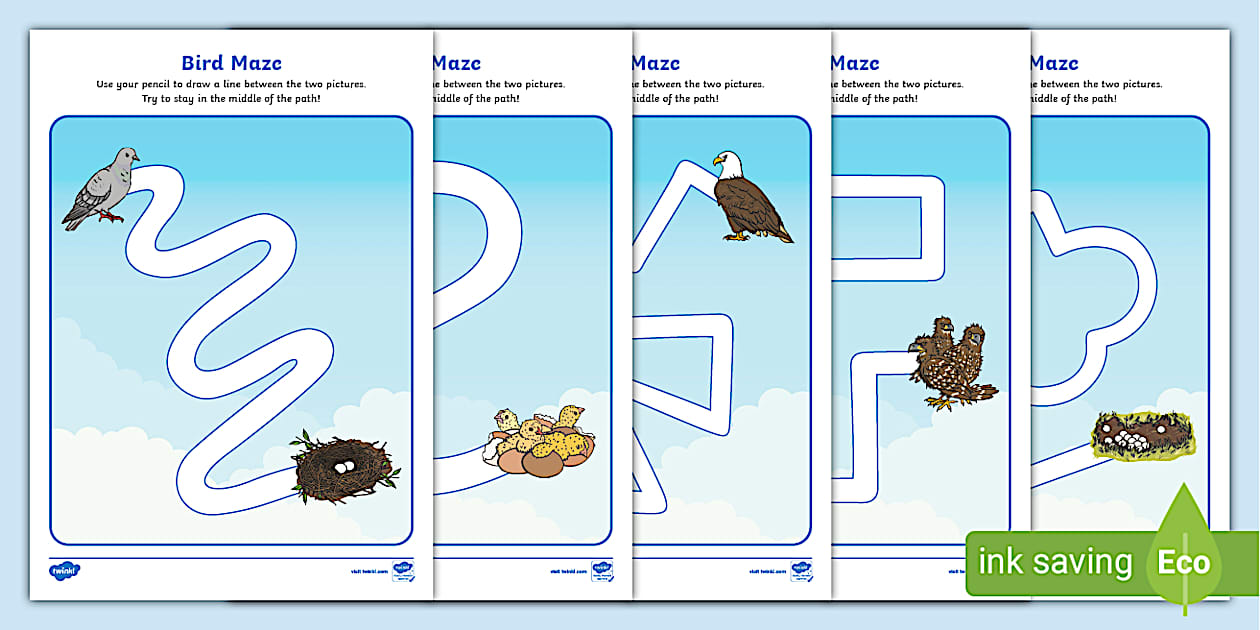 Birds Pencil Control Worksheet (teacher made) - Twinkl