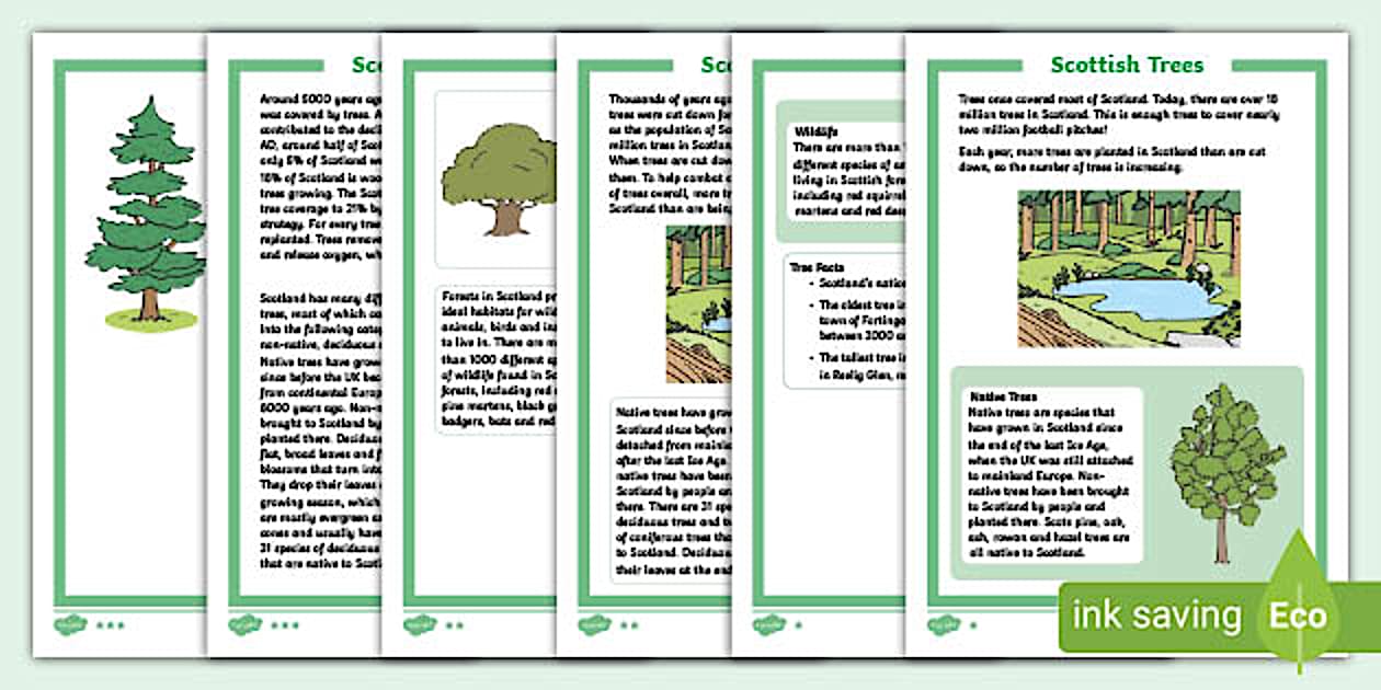 All About Scottish Trees Differentiated Reading Comprehension