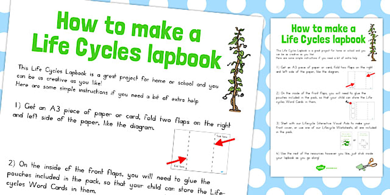 Life Cycles Lapbook Instruction Sheet (teacher made)