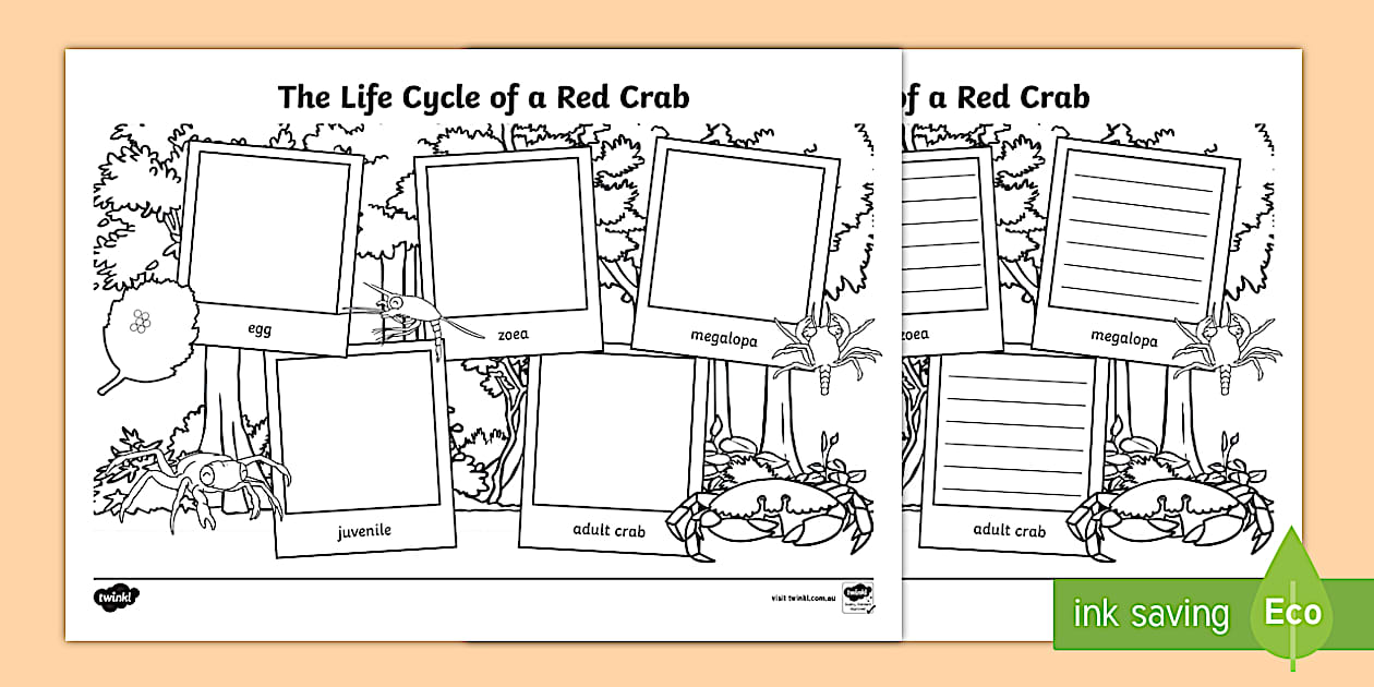 Life Cycle of a Crab Writing Frames | Twinkl Resources